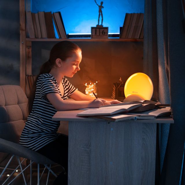 Products – Pixbee NZ